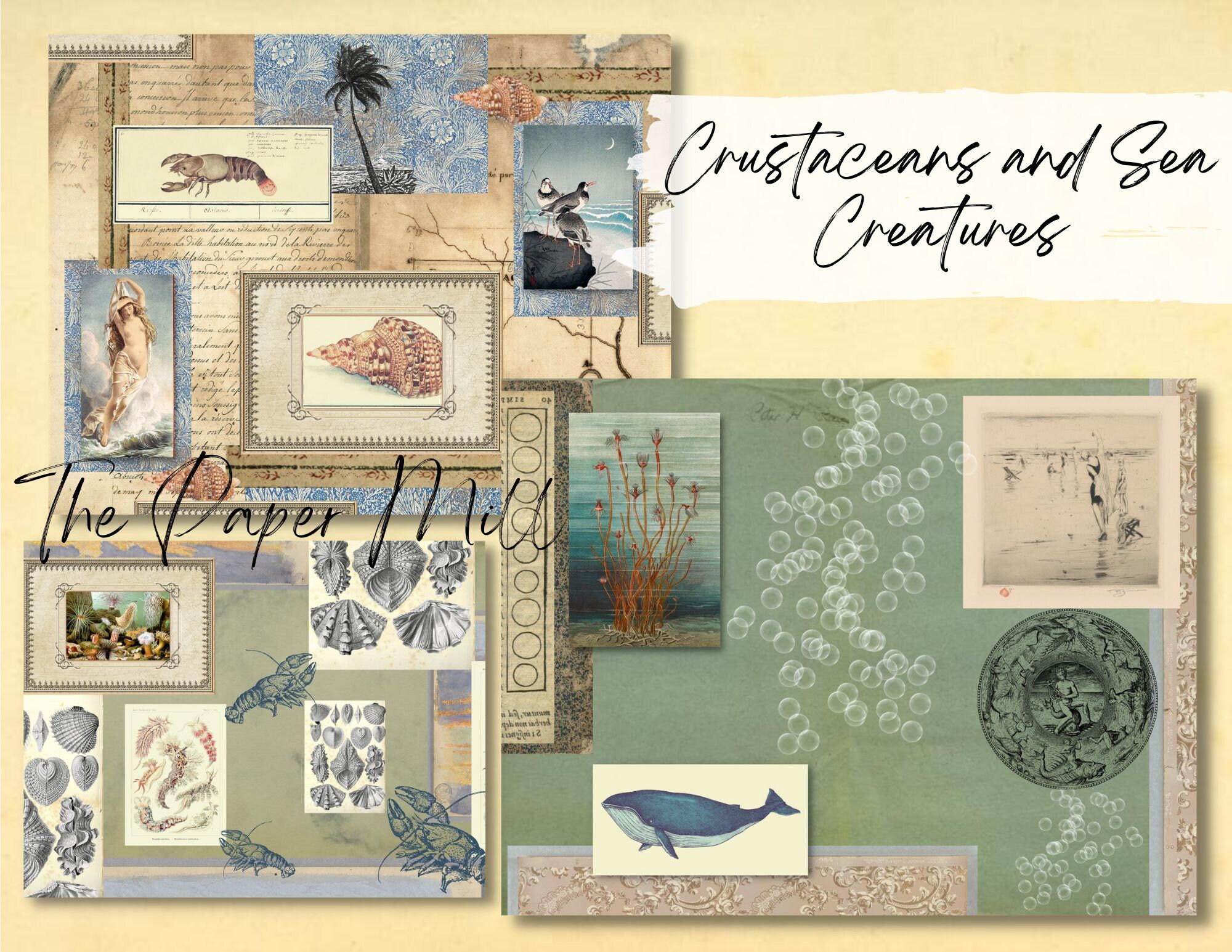 Vintage Crustaceancore and Sea Creature Journal, Printable, Digital ...