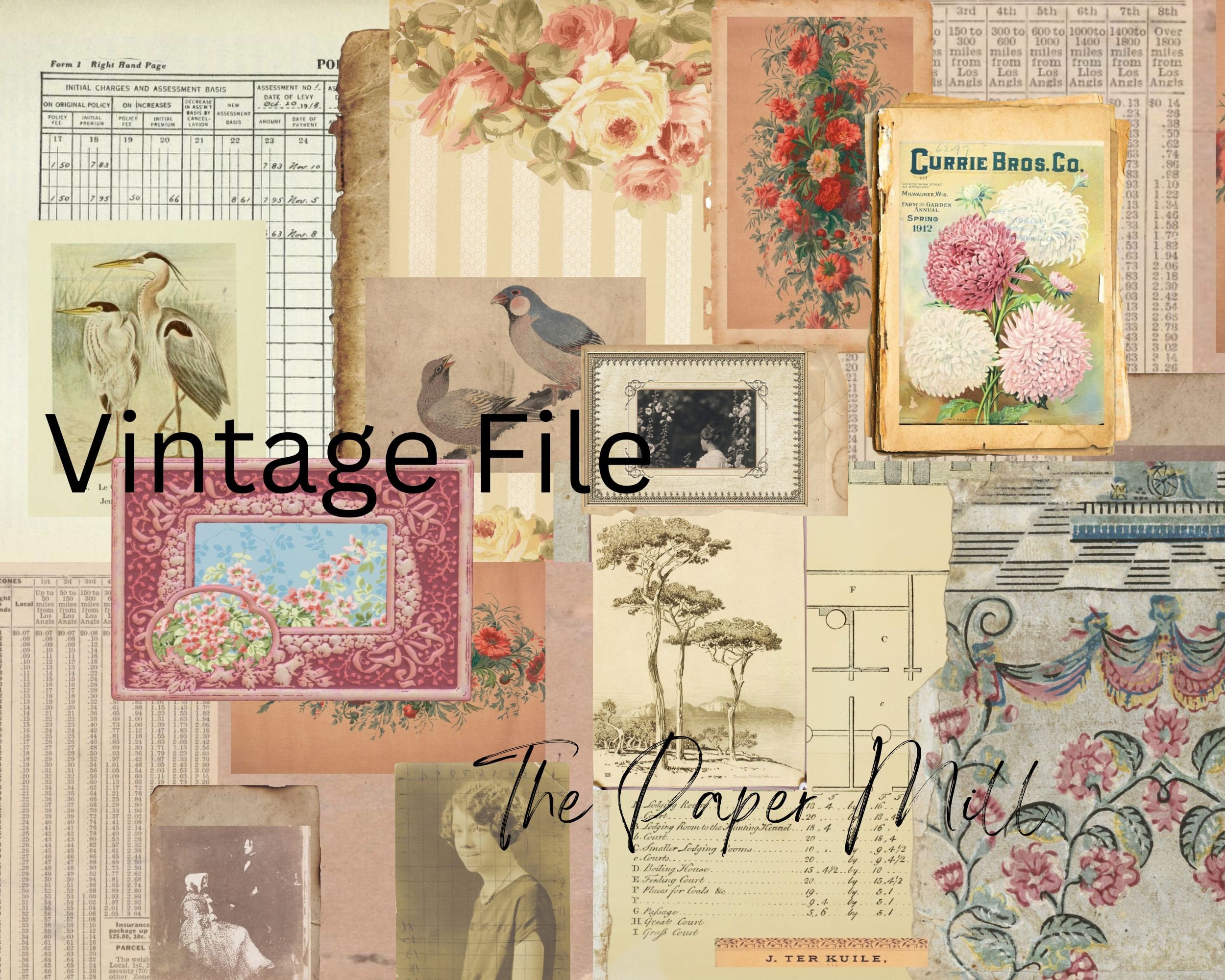 Vintage File and Ephemera Printable Collection Digital Download Antique ...