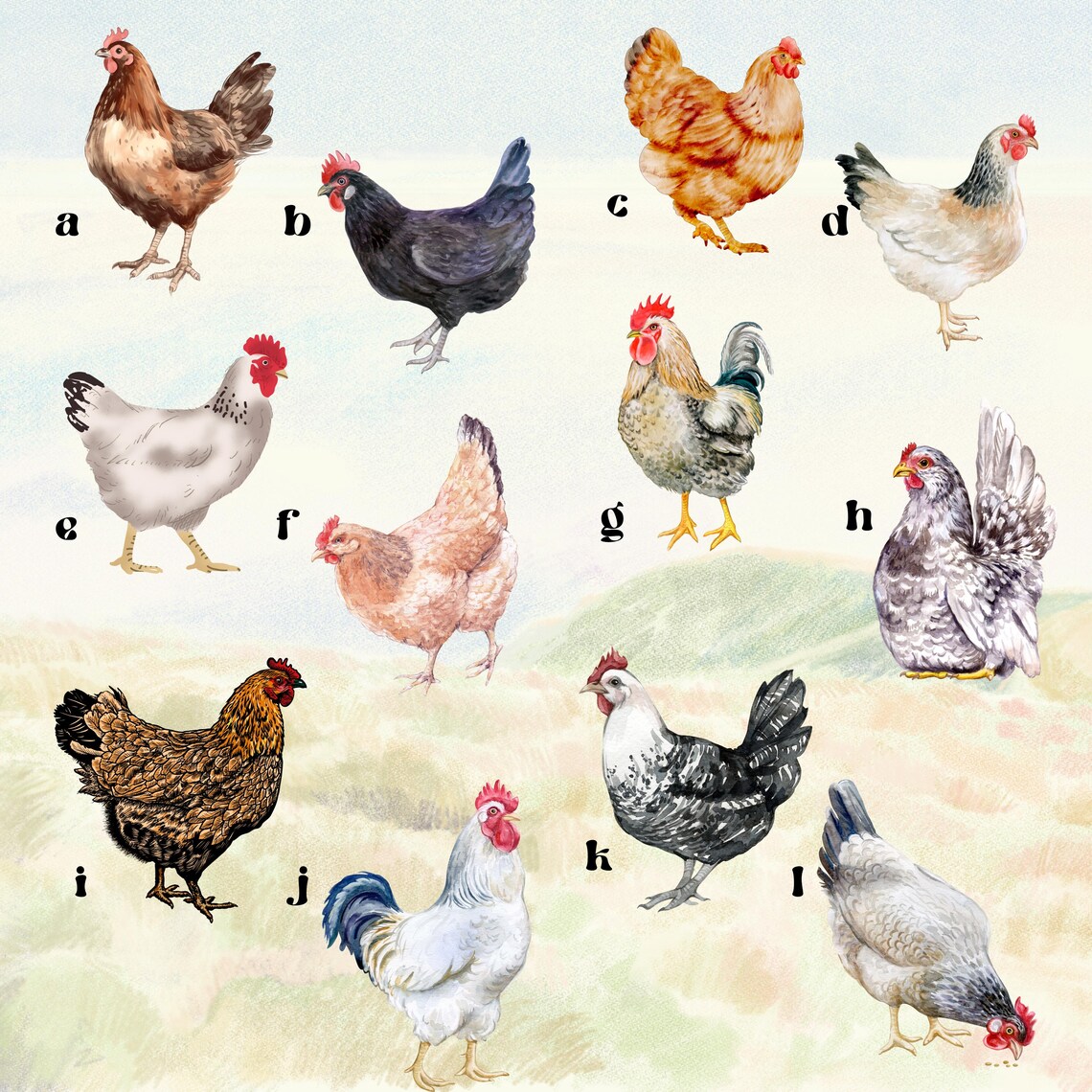Personalized Chicken Decor, Ceramic Ornament, Backyard Chickens Gift ...