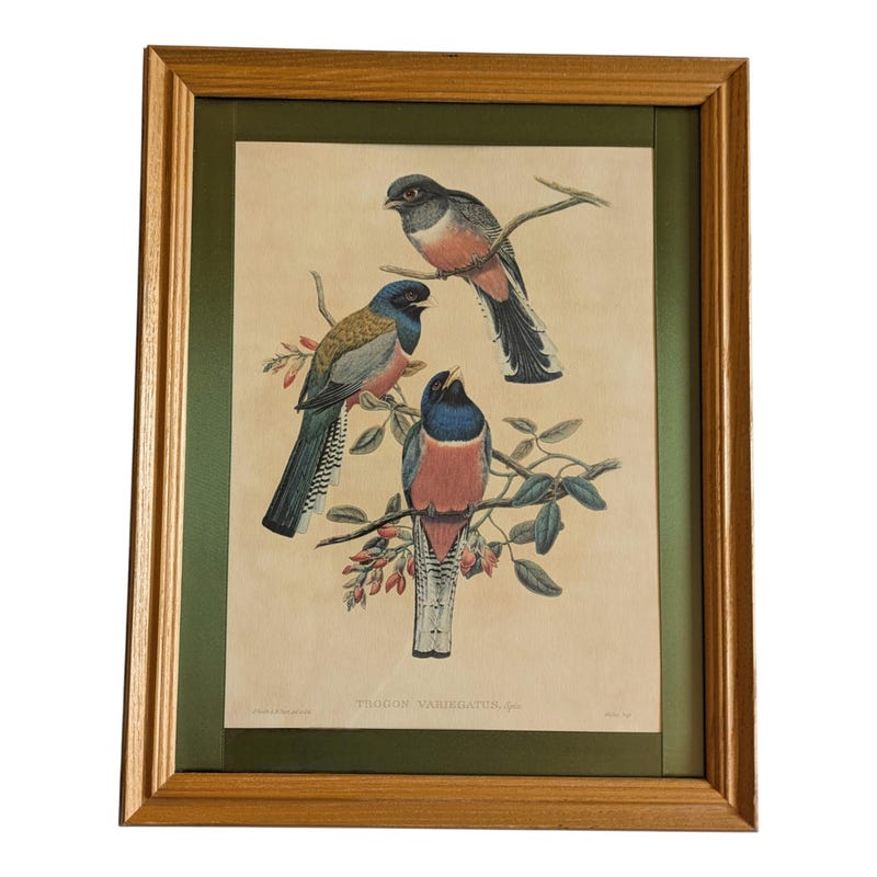 Lithograph - Etsy