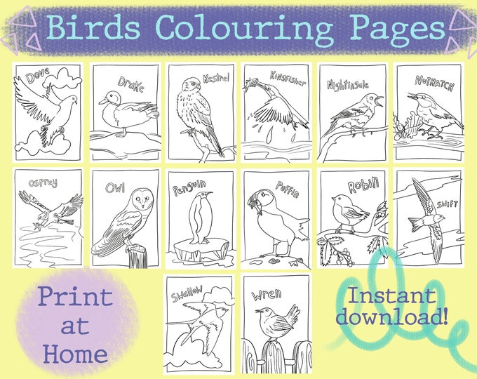 Small Garden Birds UK Colouring Page (digital Download, Print at Home ...