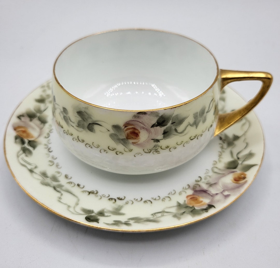 Vintage ROSENTHAL BAVARIA Teacup and Matching Saucer Peach/pink Roses ...