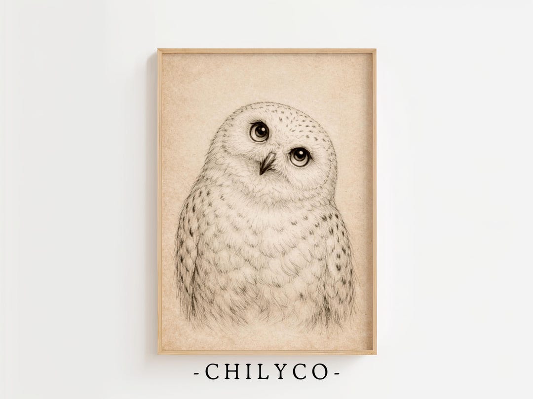 Hedwig Owl Art Print | Wizard Owl Illustration | Vintage Ink Drawing ...