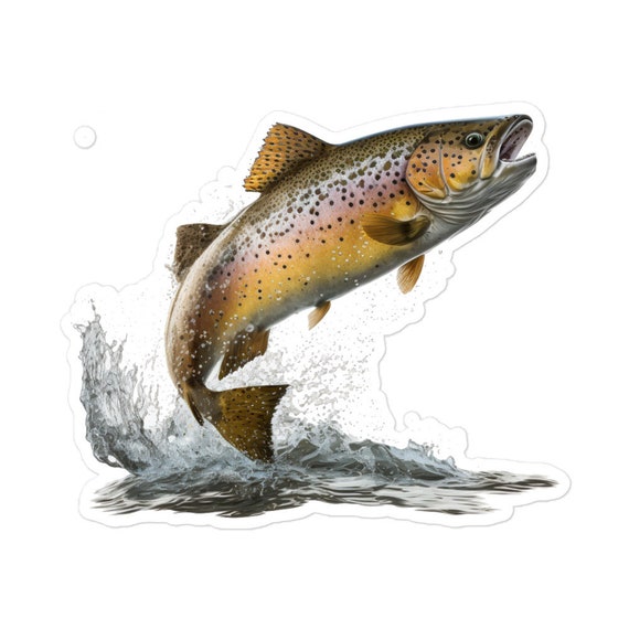 Fly Fishing Brown Trout