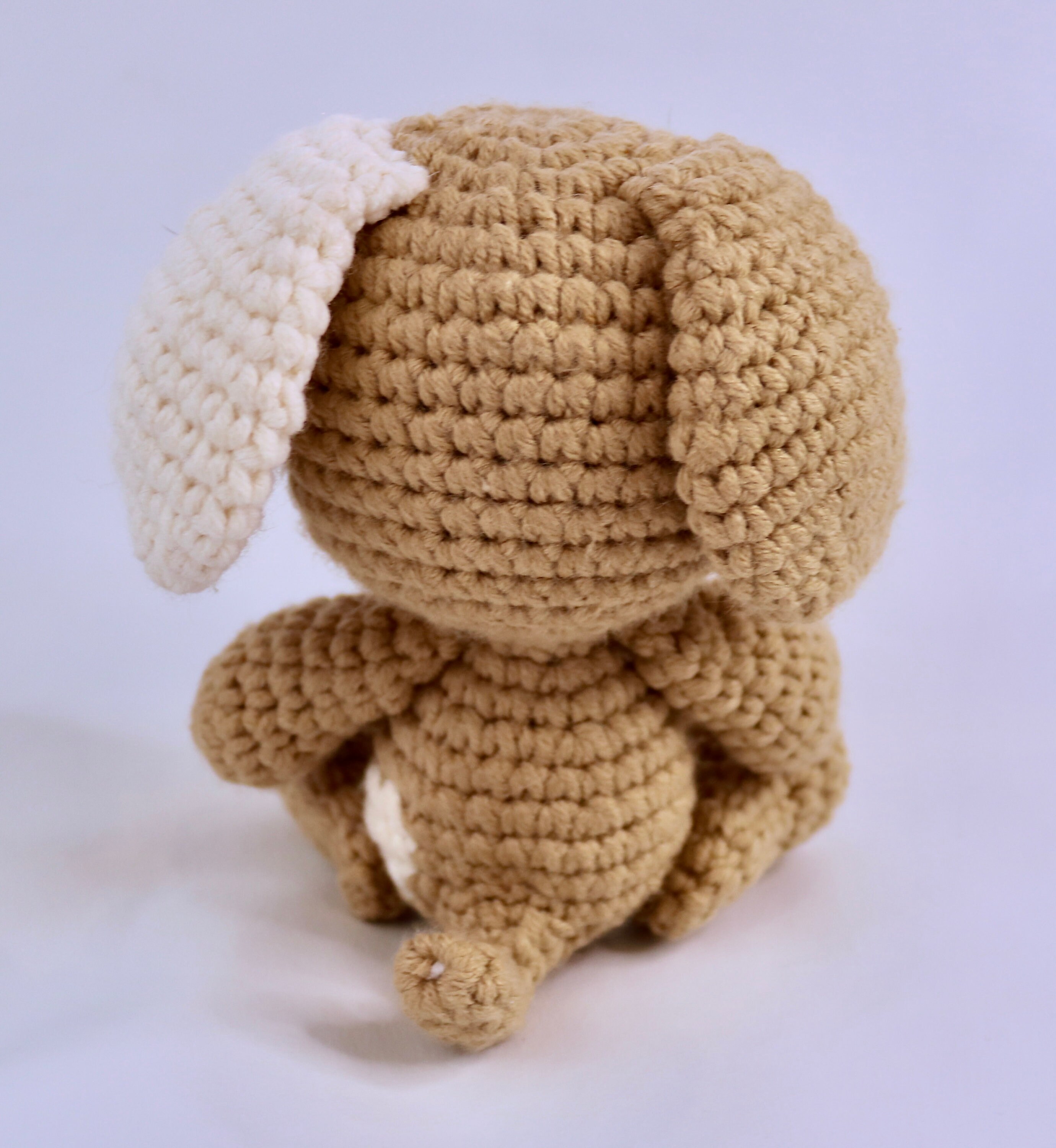 Doug the Beginner Crochet Dog Crochet Pattern - Etsy