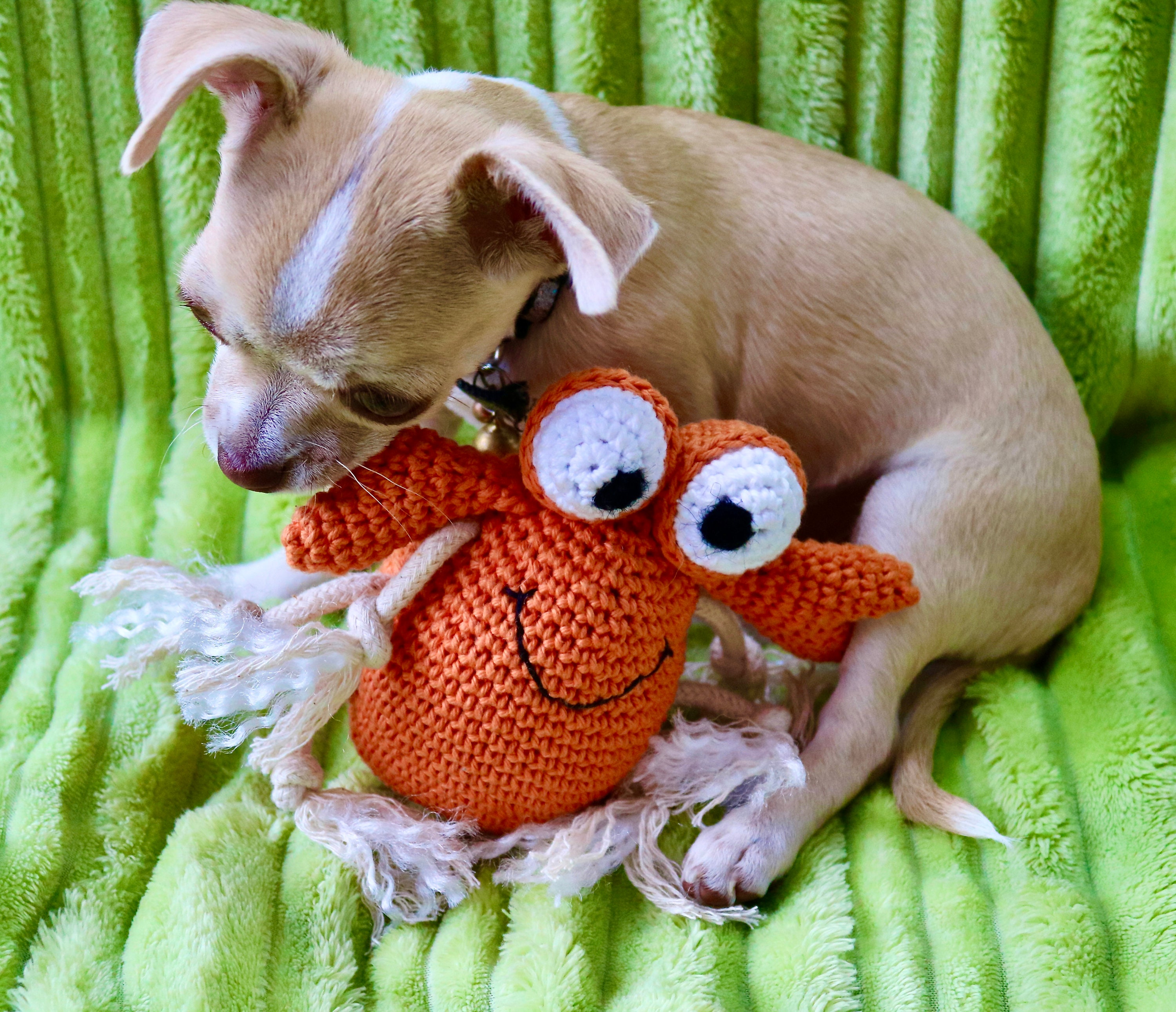 Craig the Crab Tug-of-war Dog Toy Crochet Pattern - Etsy
