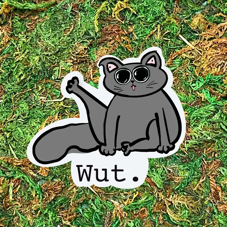 Funny Cat Sticker wut. No Shame Fat Cat Kitty Humor Big Eyes 3 Wide ...