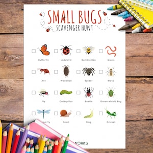 Small Bugs Scavenger Hunt for Kids - Etsy Australia