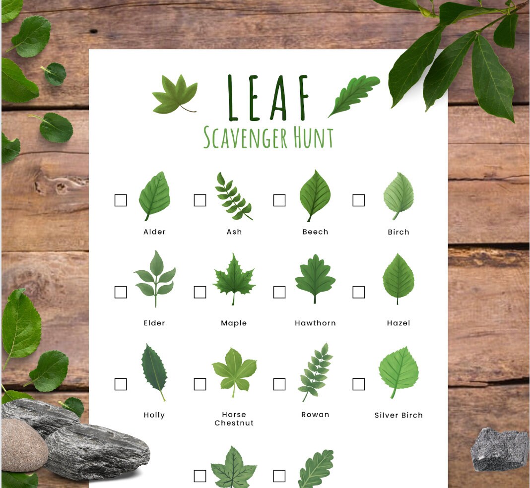 Leaf Scavenger Hunt for Kids - INSTANT DOWNLOAD - Etsy