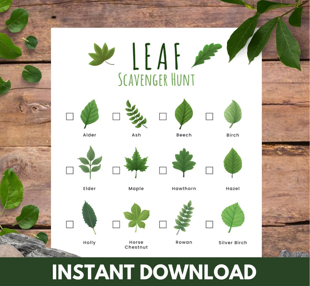 Leaf Scavenger Hunt for Kids - INSTANT DOWNLOAD - Etsy