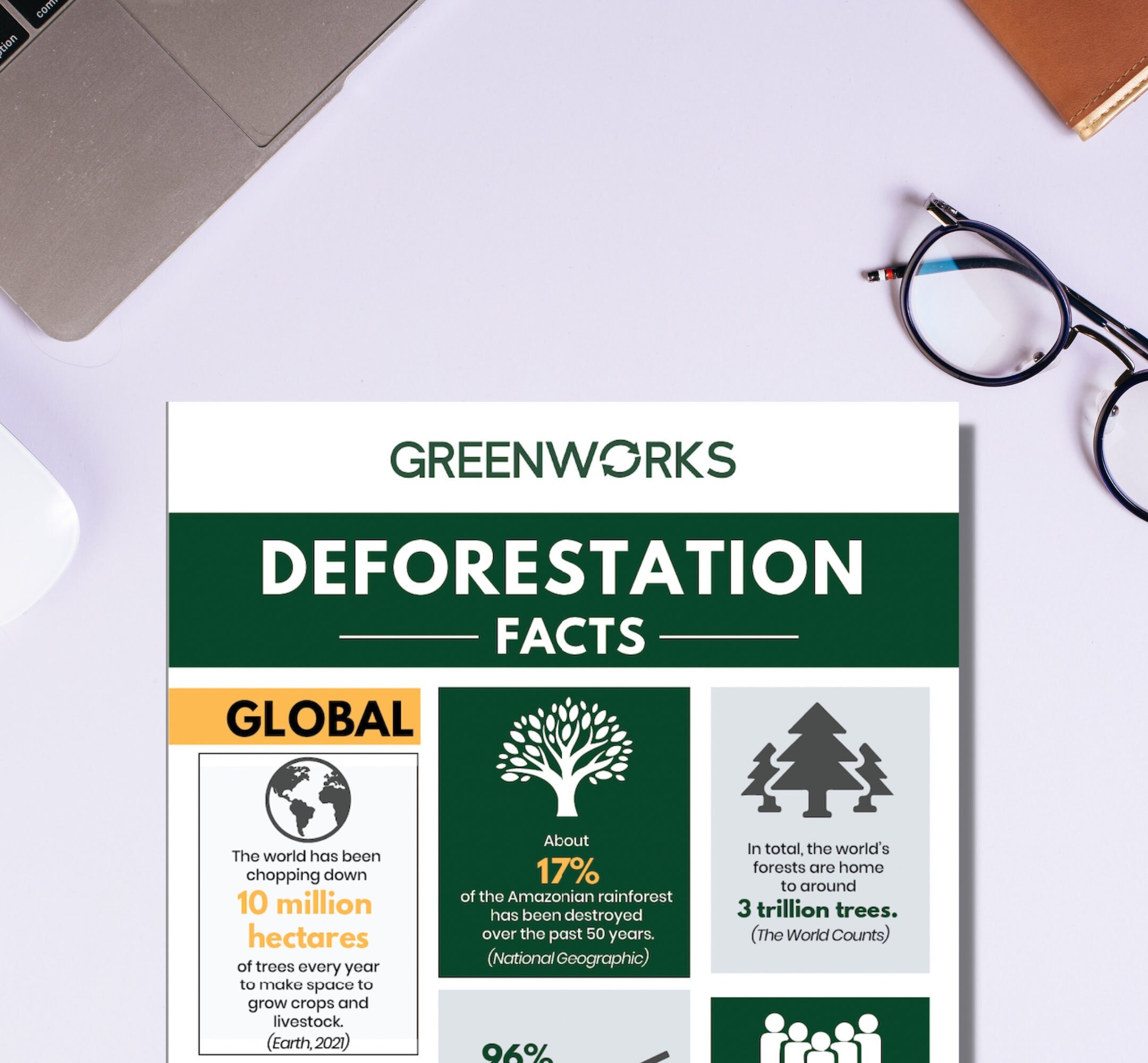 Deforestation (global) Infographic/factsheet - Etsy