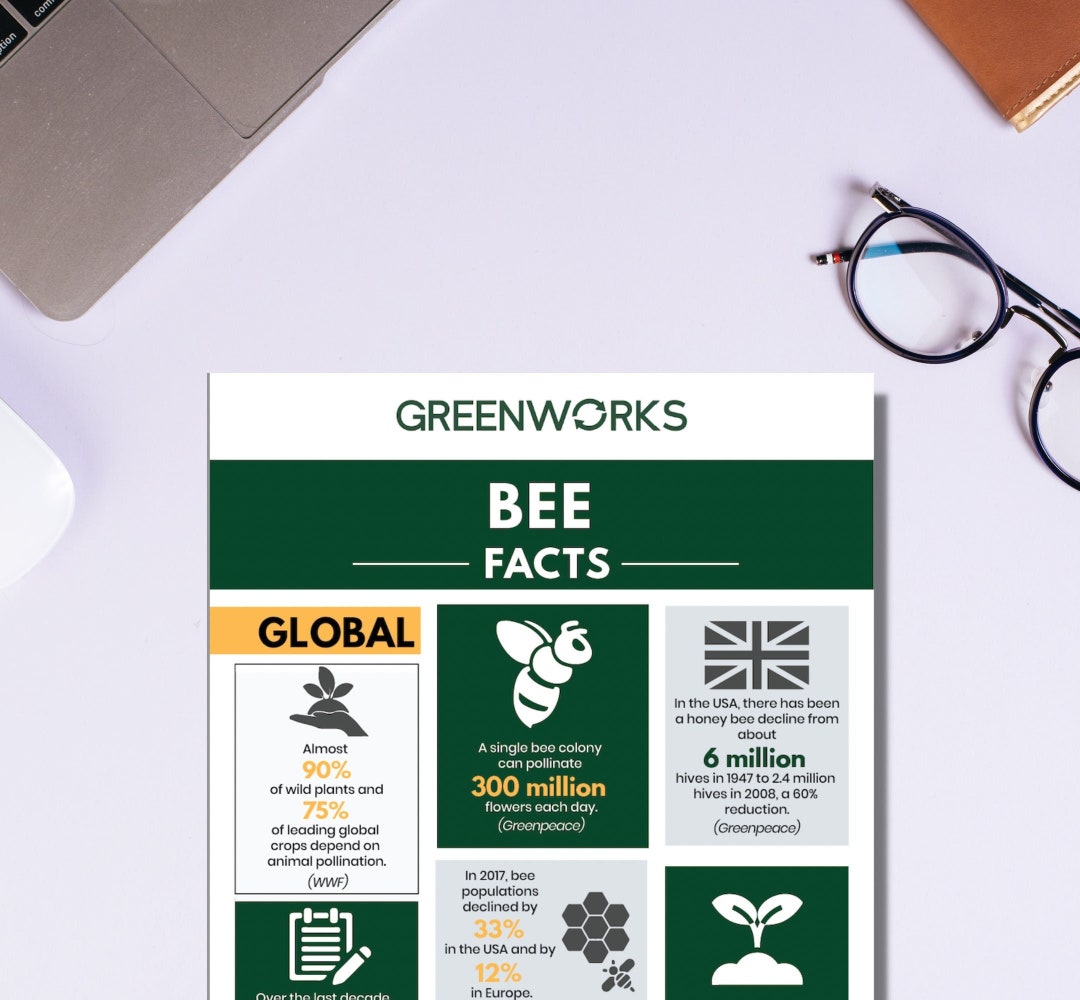 Bee Infographic/factsheet - Etsy