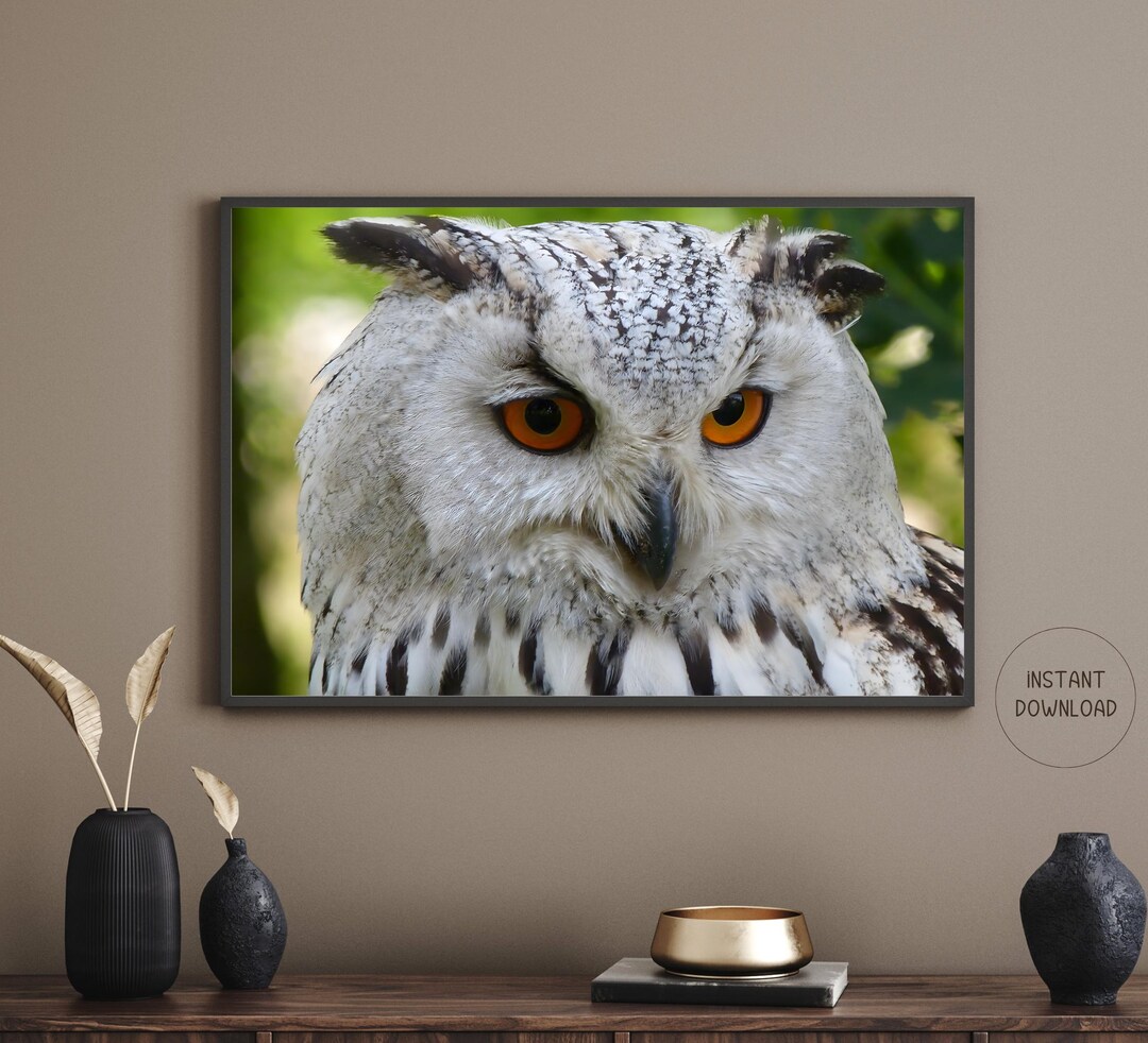 White Owl Art, Owl Digital Art, Owl Art, Owl Lovers Gift, Wildlife ...