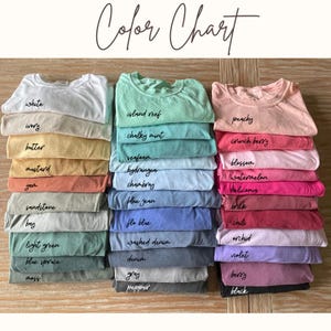 Infant Loss Ribbon Shirt, One in Four, Miscarriage Gift, Pink and Blue ...