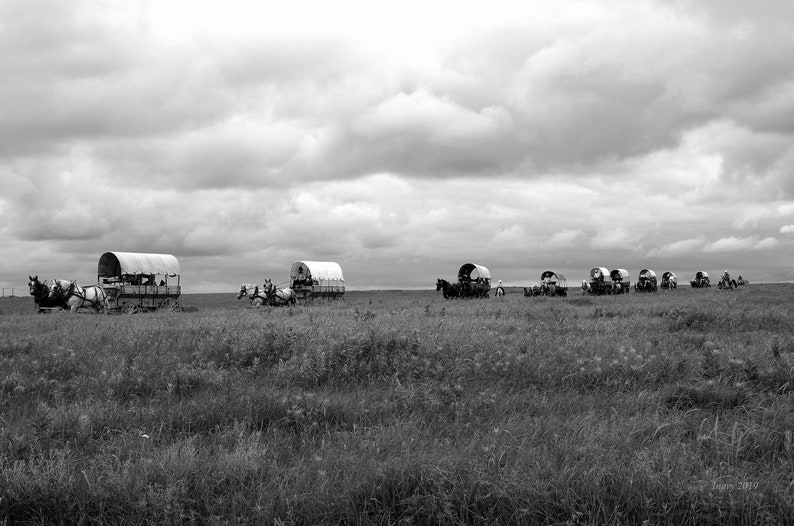 Wagon Train on the Prairie, Black and White Photography of Horse Pulled ...