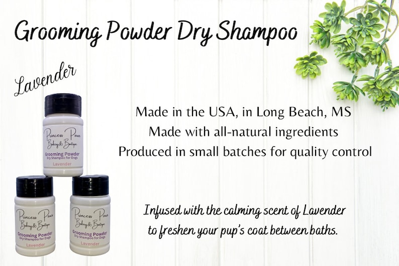 Grooming Powder - Dry Shampoo for Dogs - Etsy