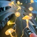 LED Mushroom Fairy String Lights | Night Lights | Nature Decor ...