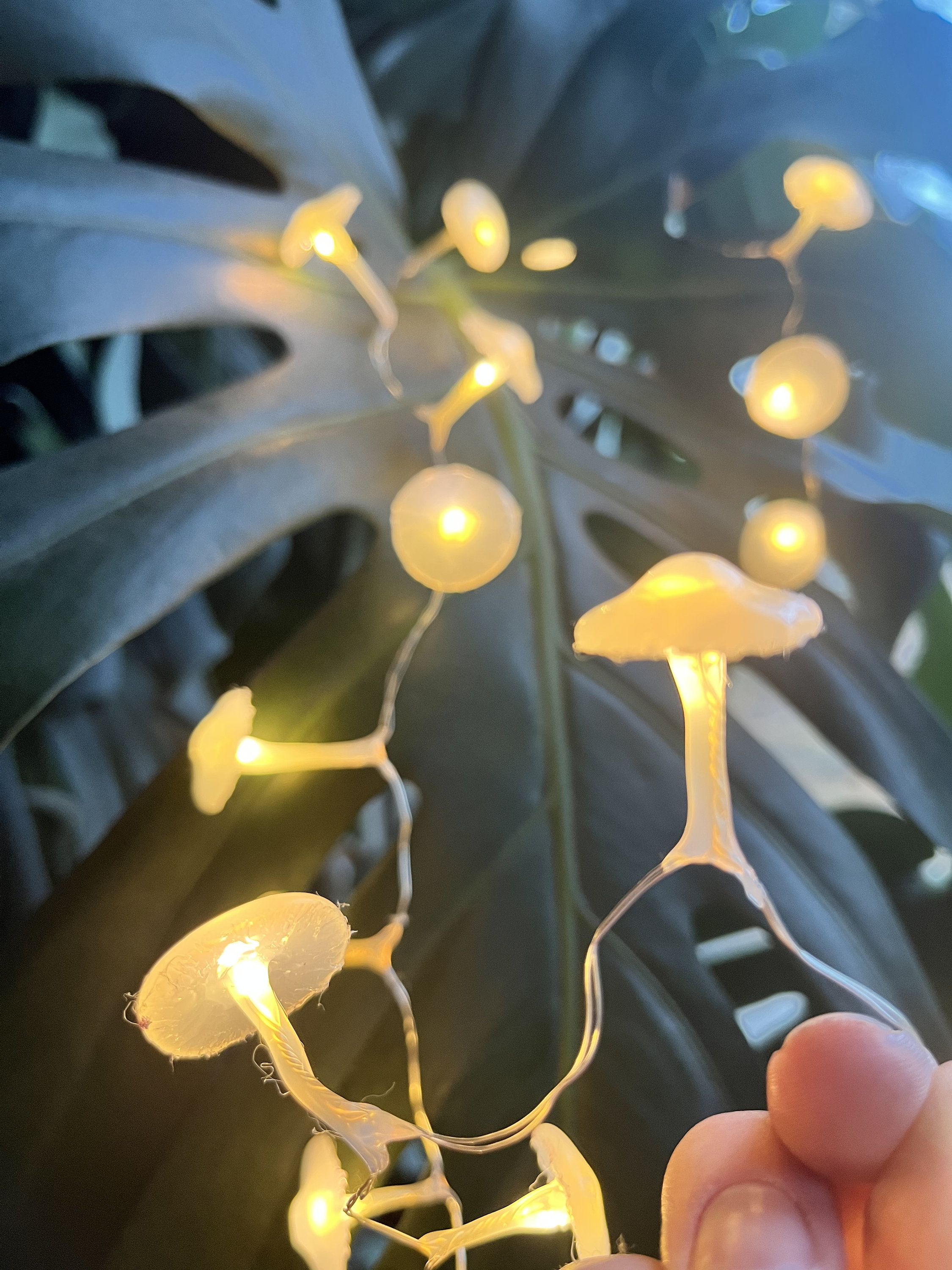 LED Mushroom Fairy String Lights Night Lights Nature Decor Mushroom Decor - Etsy