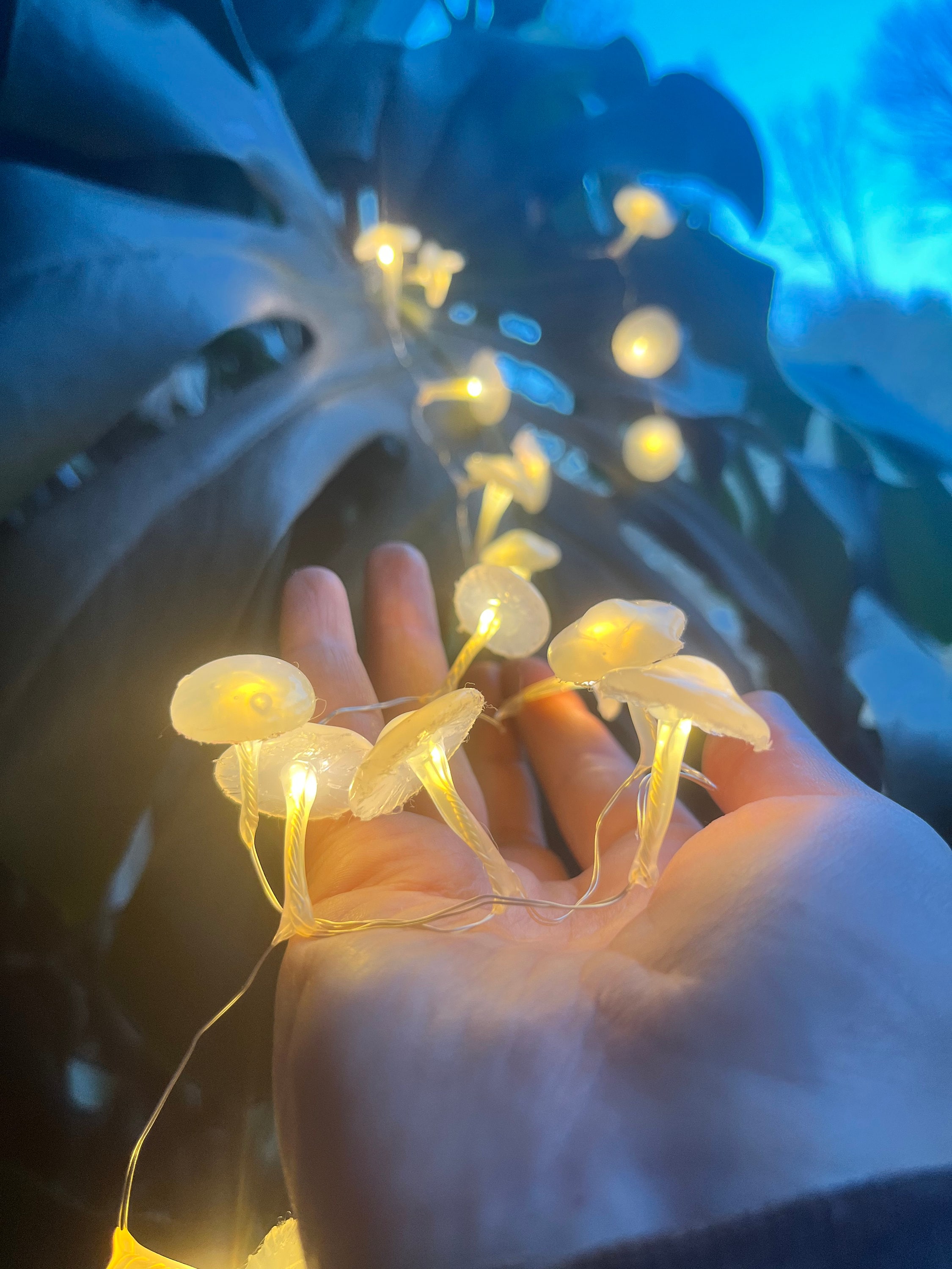 LED Mushroom Fairy String Lights | Night Lights | Nature Decor ...