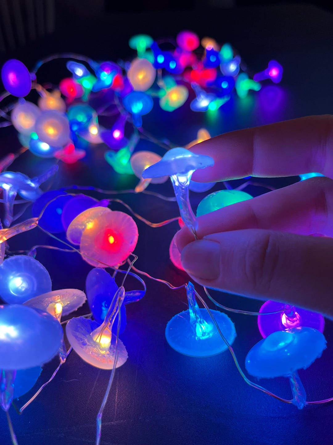 LED Mushroom Fairy String Lights With Remote and USB Night Lights ...