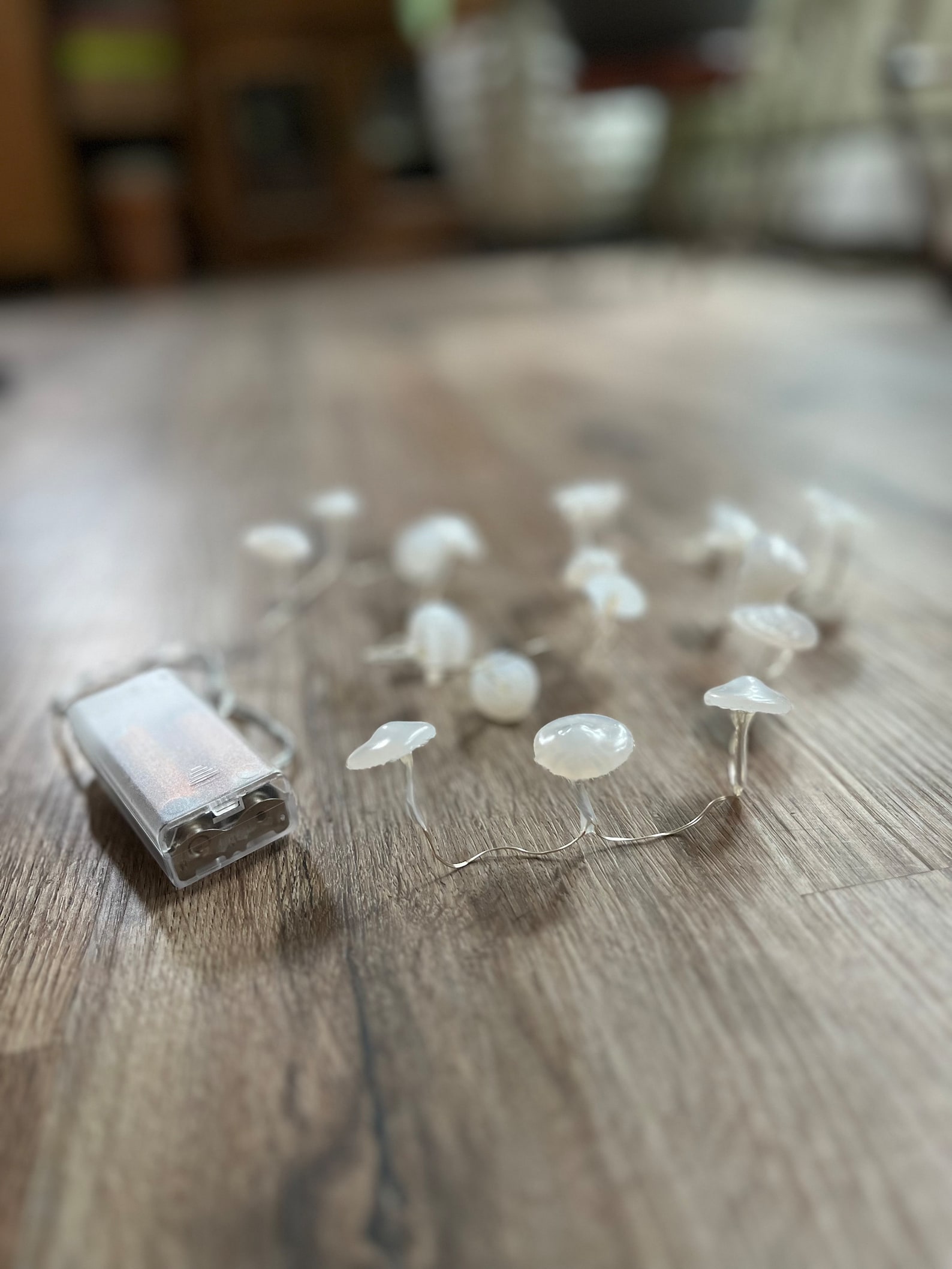 LED Mushroom Fairy String Lights | Night Lights | Nature Decor ...