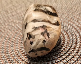 Rock Painted Zebra - Etsy