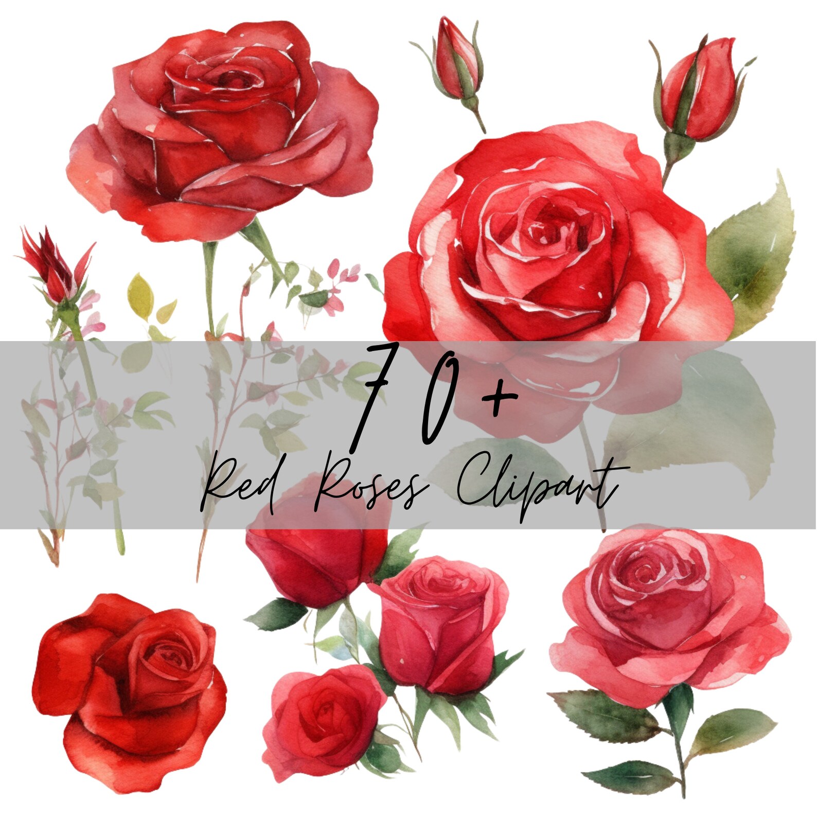 80 ROSE PNG FILE Rose Png Bundle Roses Png Rose Clipart - Etsy