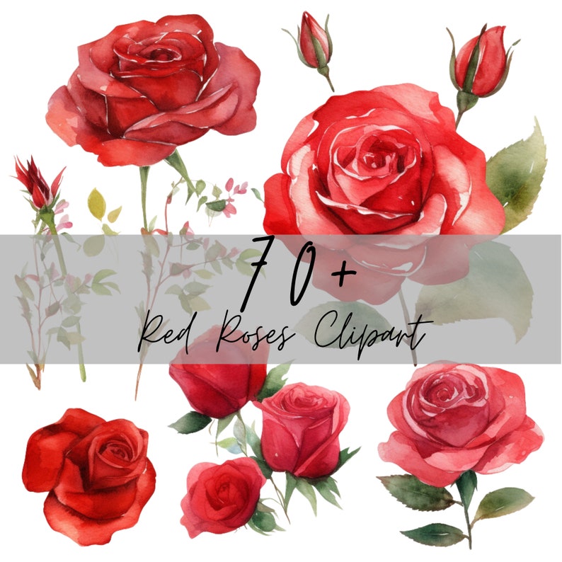 80 ROSE PNG FILE Rose Png Bundle Roses Png Rose Clipart - Etsy