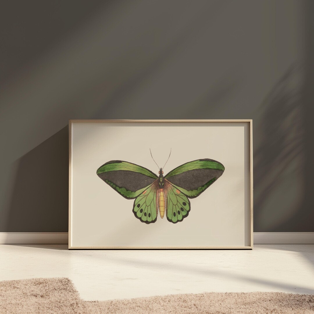 Vintage Green Butterfly Poster, Botanical Art Print, Nature Wall Decor ...