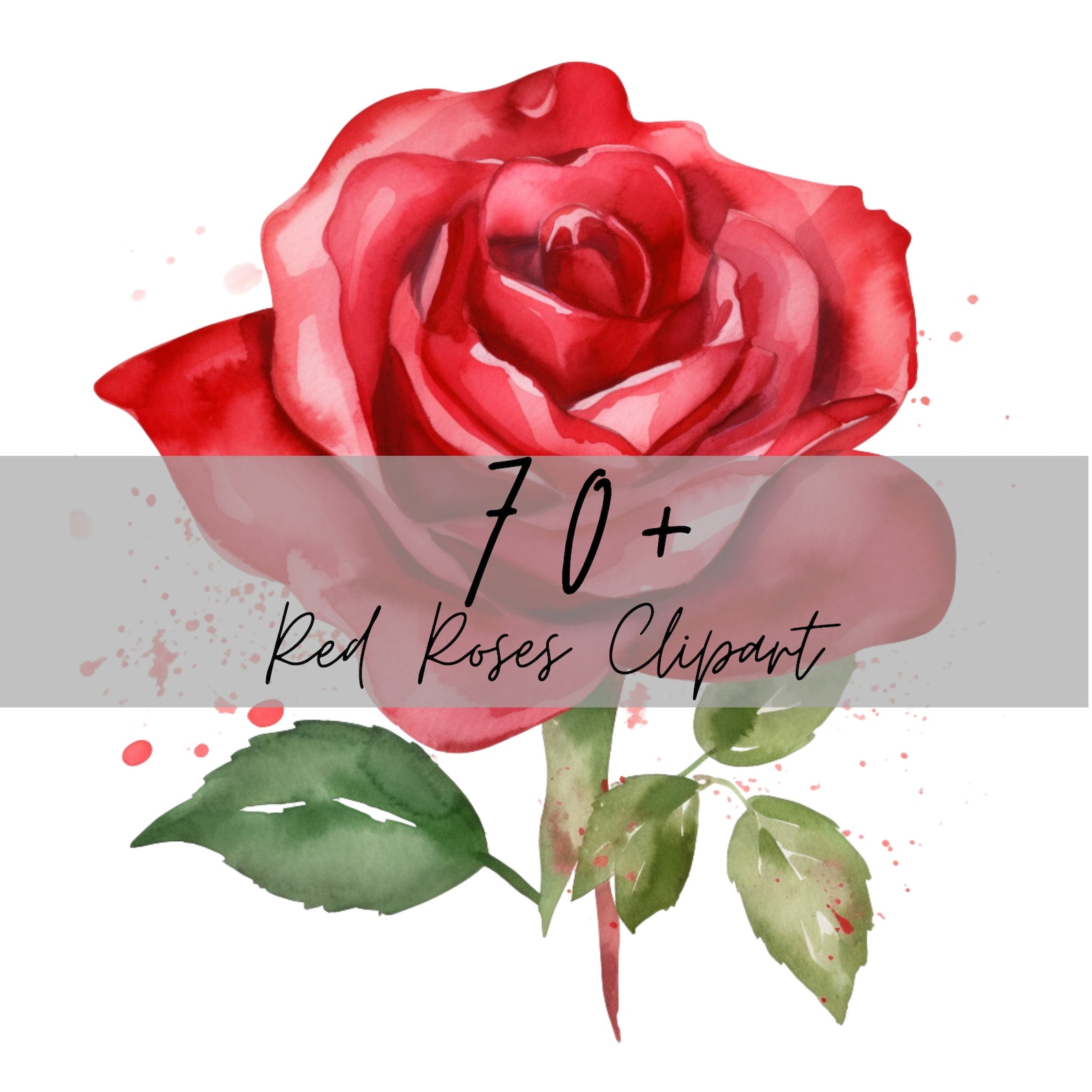 80 ROSE PNG FILE Rose Png Bundle Roses Png Rose Clipart - Etsy