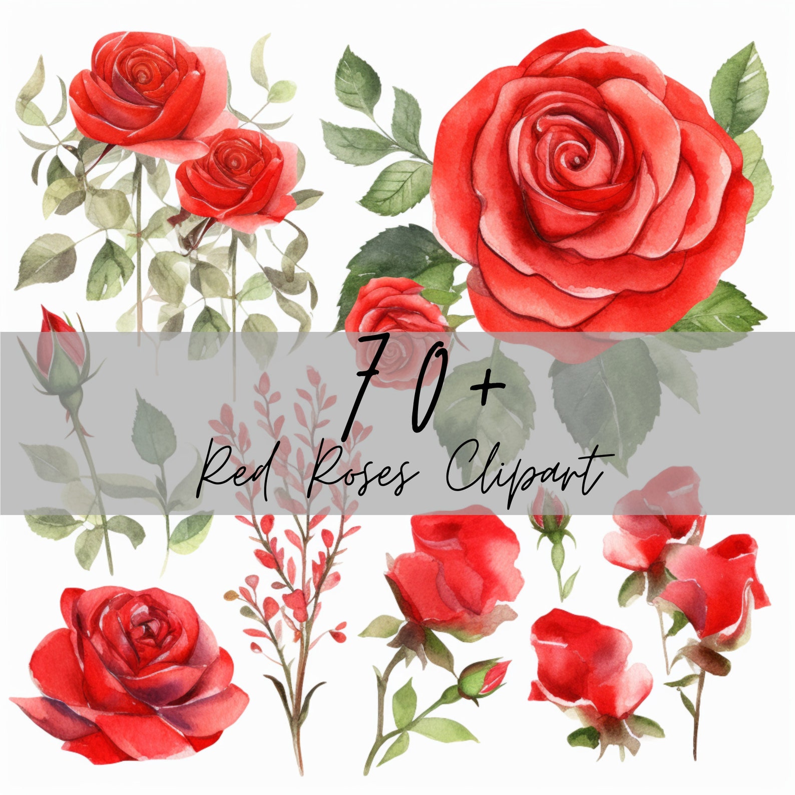 80 ROSE PNG FILE Rose Png Bundle Roses Png Rose Clipart - Etsy