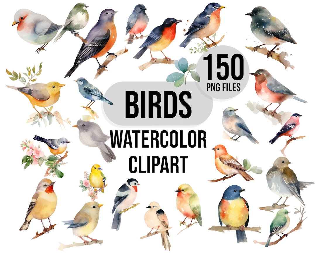 150, Watercolor Birds Clip Art, Colorful Birds Clipart, Spring Clipart ...