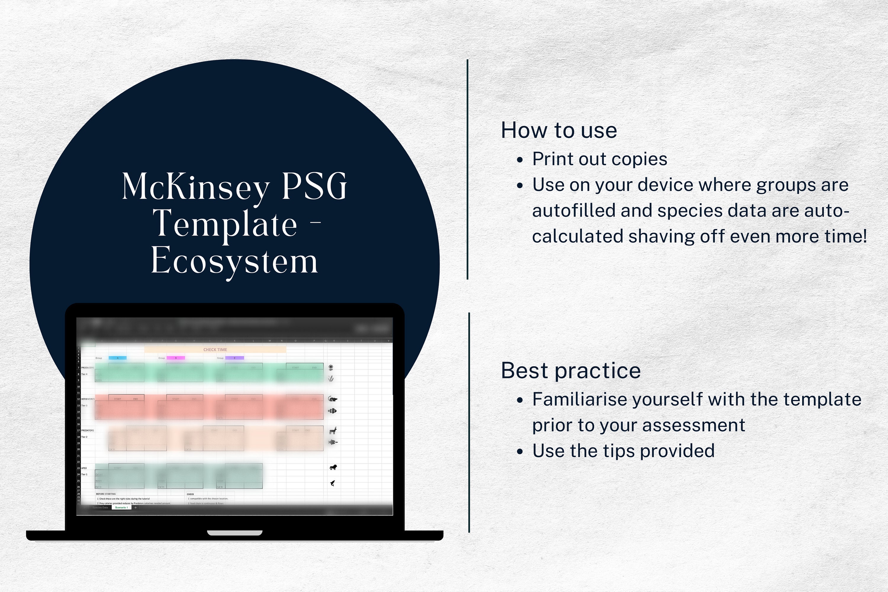 Mckinsey Psg Excel Template