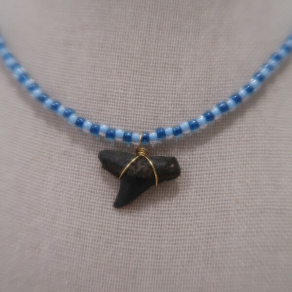 Shark Tooth Choker - Etsy