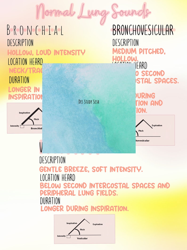 Normal Lung Sounds Notes - Etsy