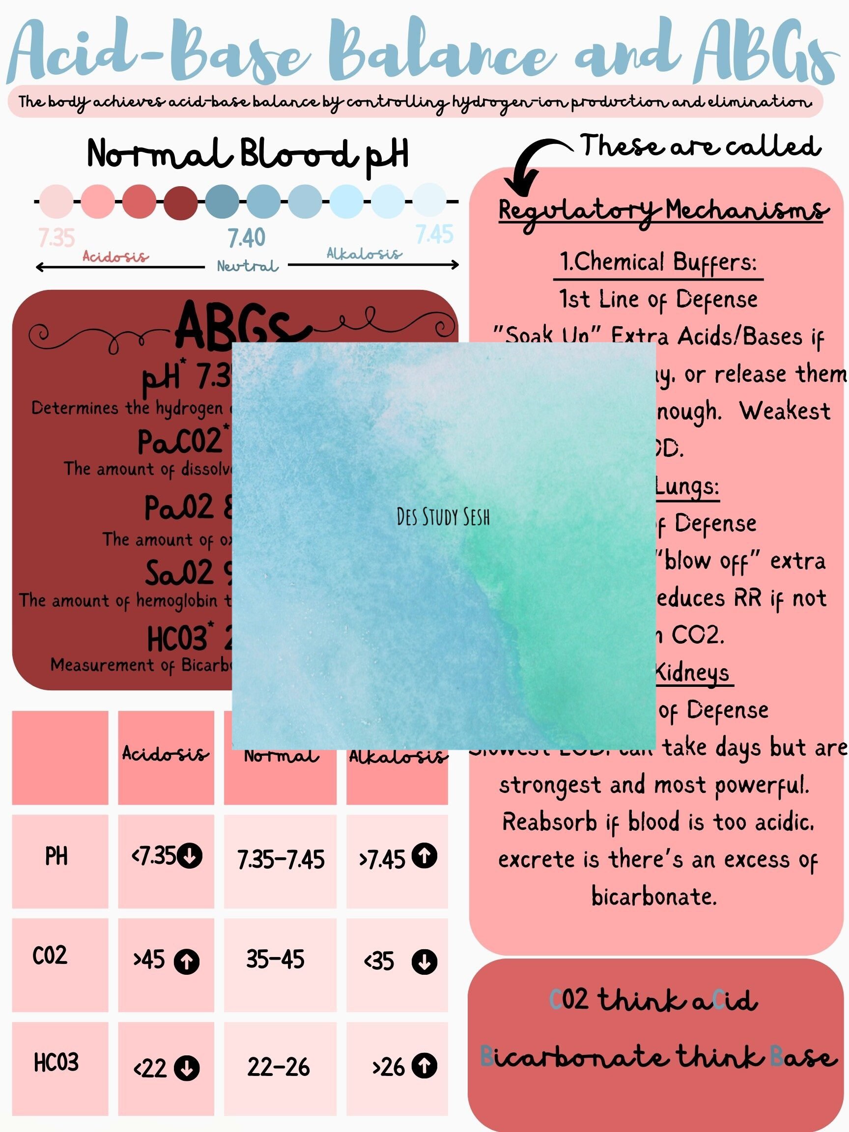 Abgs and Acid Base Balances - Etsy