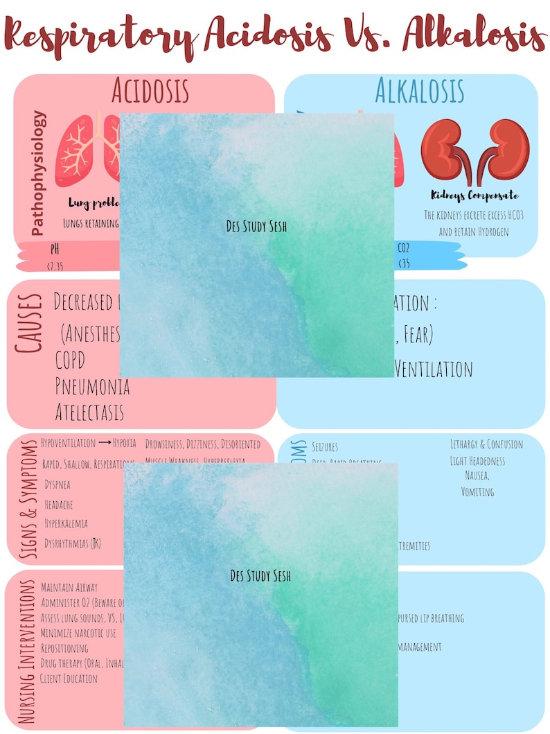 Respiratory Acidosis VS Alkalosis Nursing Notes - Etsy