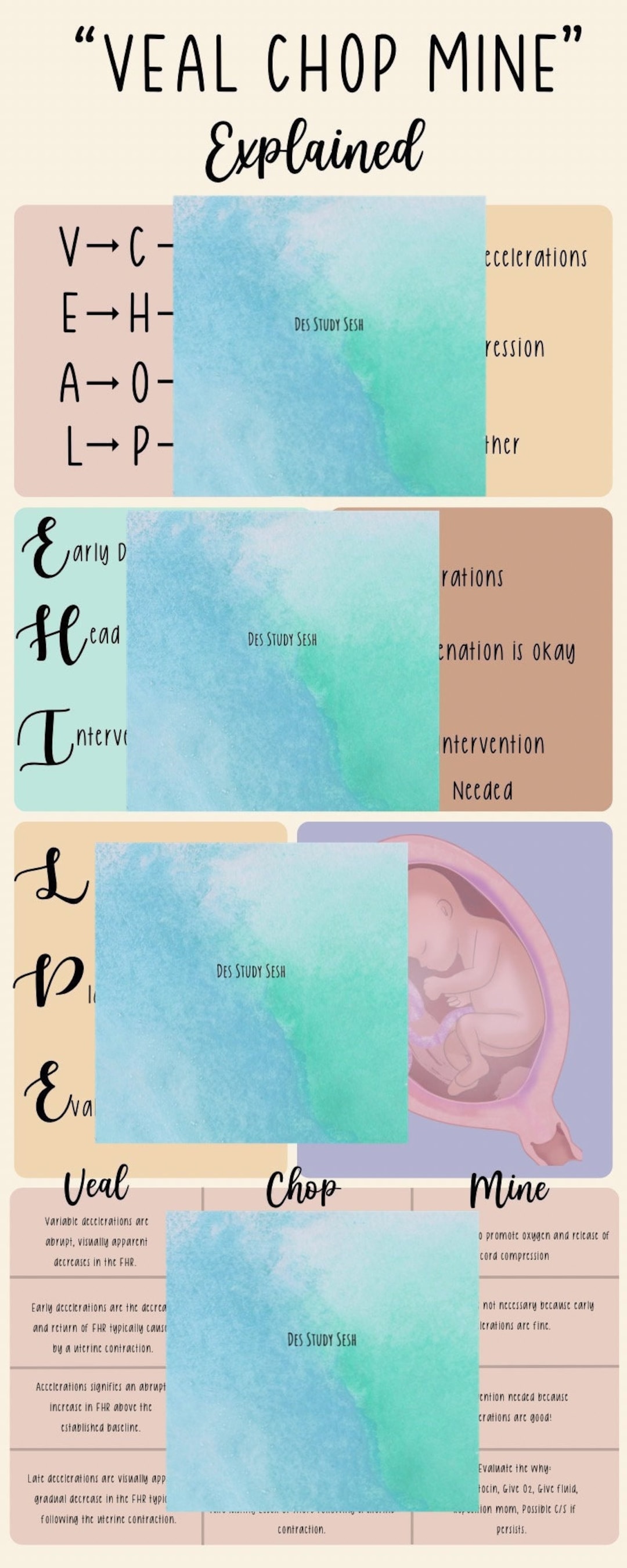 VEAL CHOP MINE: Explained Nursing School Notes - Etsy VEAL CHOP MINE: Explained Nursing School Notes - Etsy