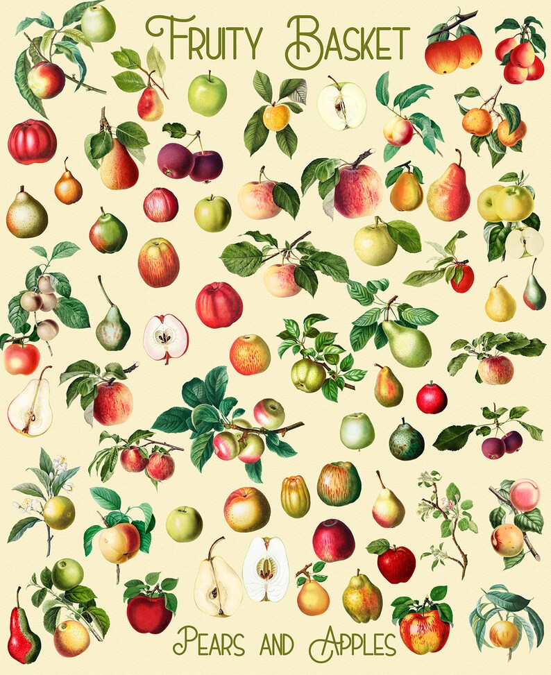 Vintage Fruit Clipart Bundle: Apple PNG Graphics (digital Download) - Etsy