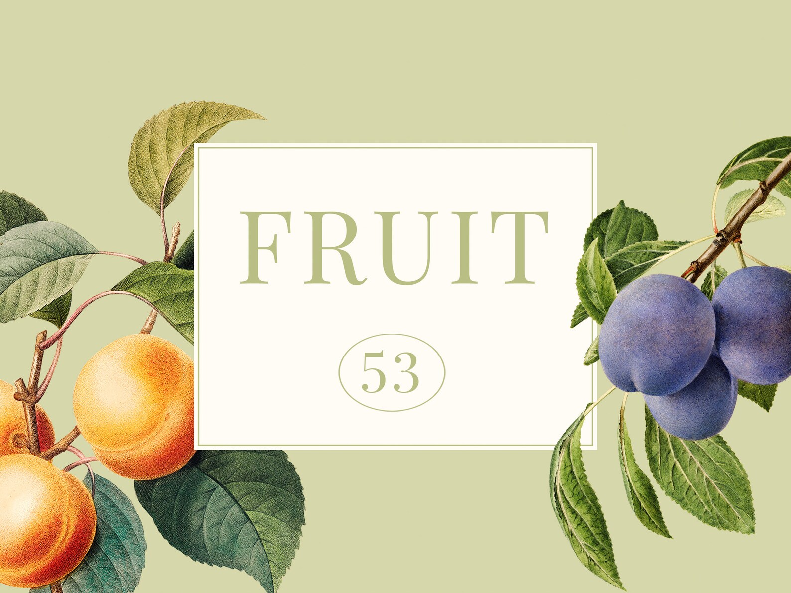 Fruit Clipart Bundle: 53 Colorful PNG Graphics (digital Download) - Etsy