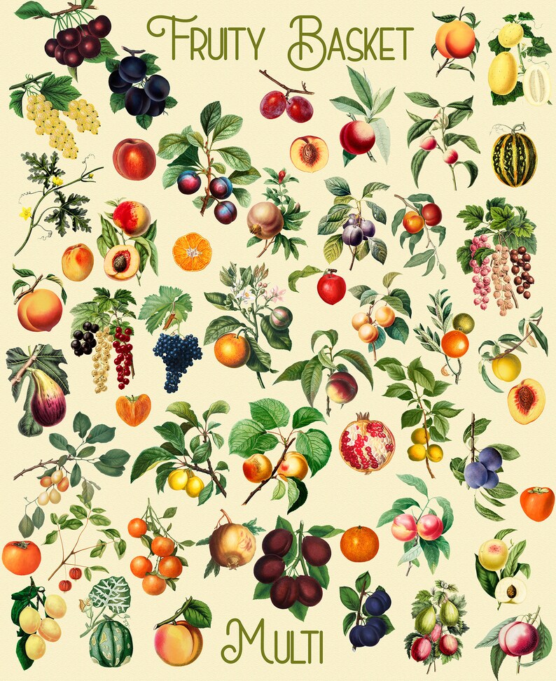 Fruit Clipart Bundle for Commercial Use - Colorful Cherry Graphics ...