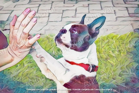 Digital Download Digital Art Digital File Download - Etsy