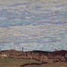 Spring-tom Thomson,home Office Wall Art Decor,canada Landscape,canvas ...