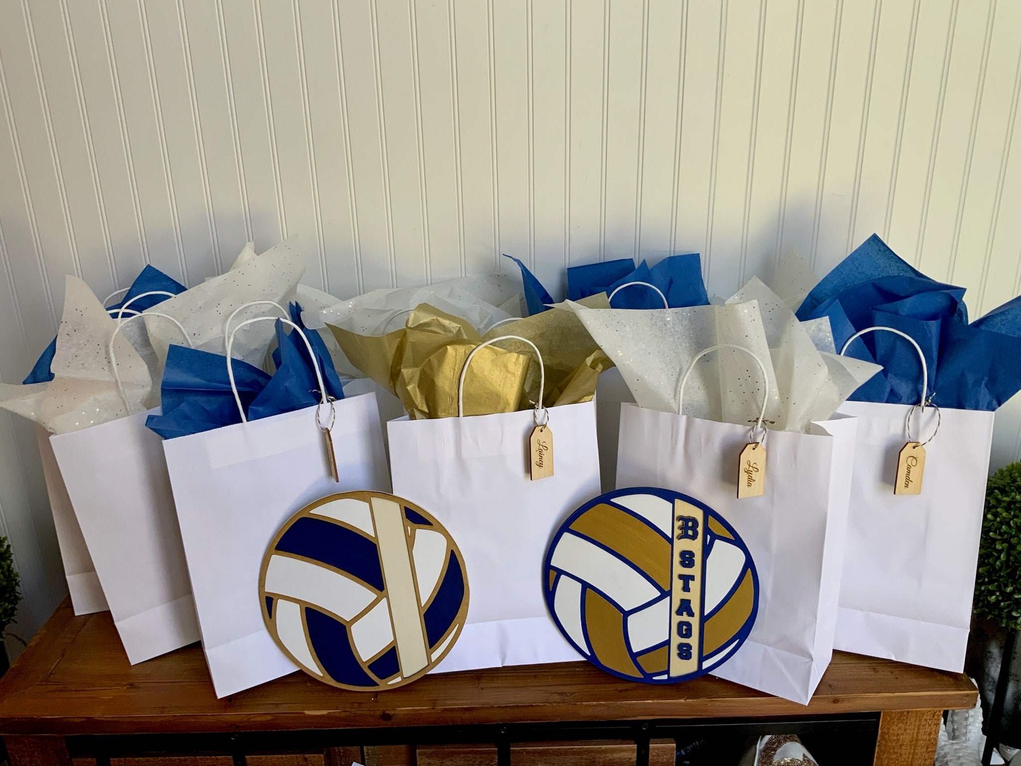 Volleyball Door Hanger - Etsy