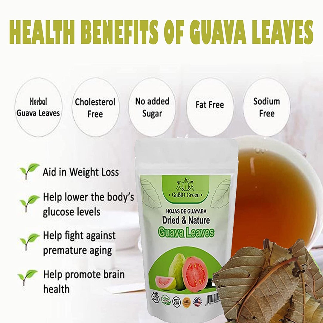 Dried Whole Guava Leaves (pack 2oz), Guava Leaf Tea Herbal Leaves Tea ...