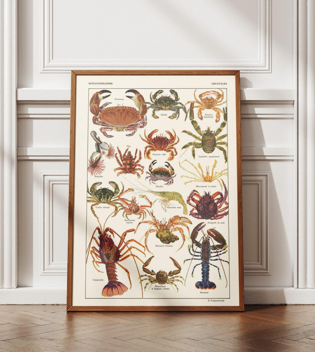 Vintage Crabs and Lobsters Illustration Poster, Sea Animals Decorative ...