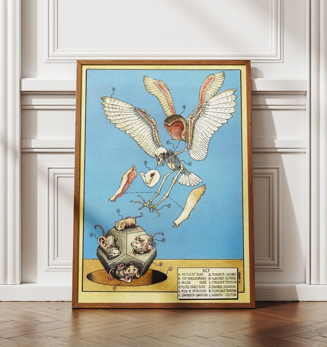 Fantasy Anatomy Poster, Dissected Bird and Mouse Surreal Art ...