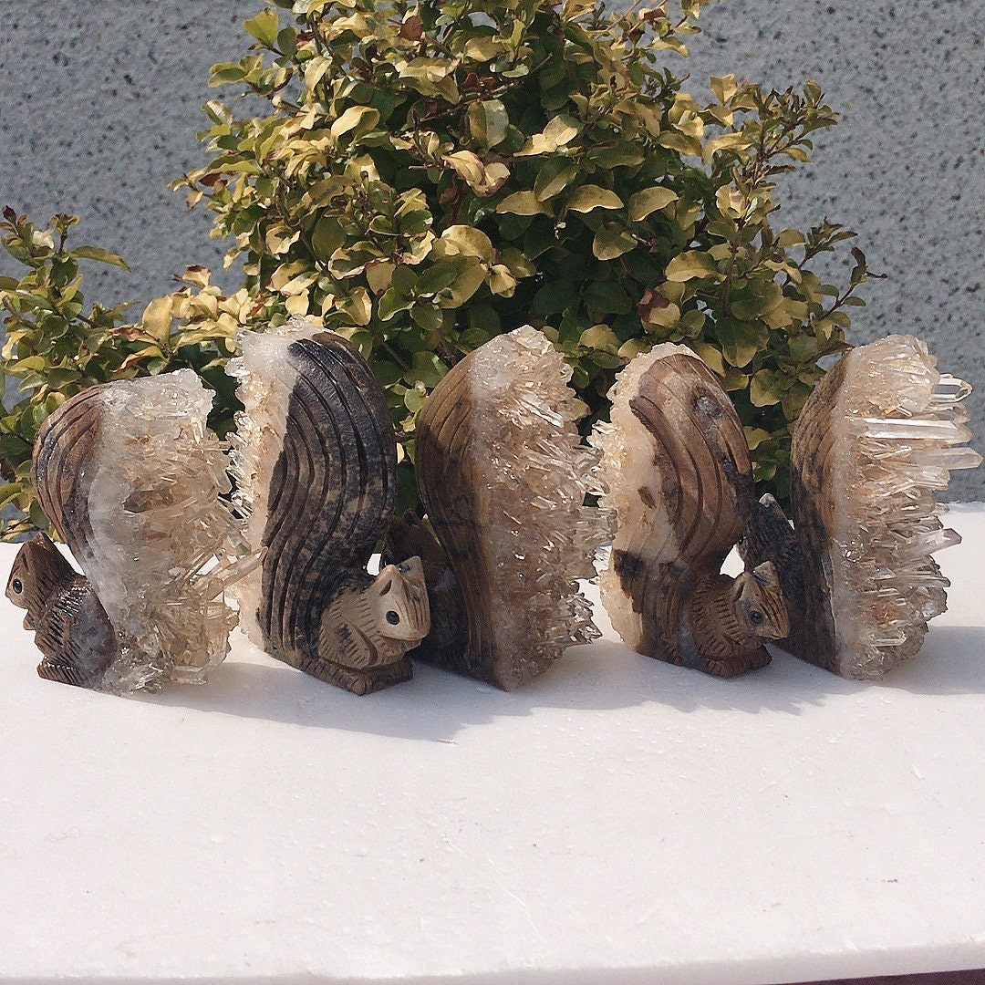 Natural Hand Carved Cluster Squirrel,quartz Crystal,crystal Squirrel ...
