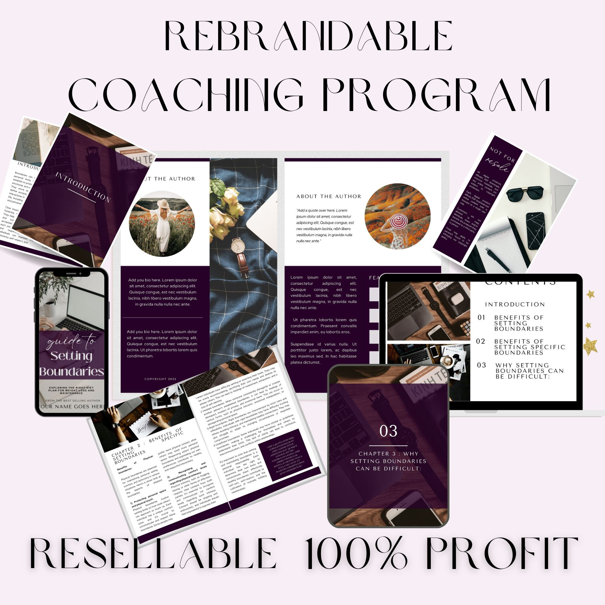 Setting Boundaries Done for You Ebook PLR Guide for Boundary Coach ...