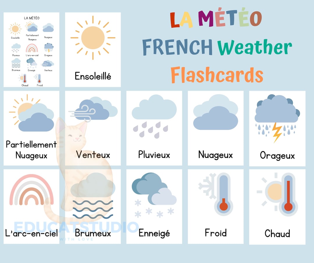 La Météo Les Saisons French Weather Seasons Flashcards Digital ...